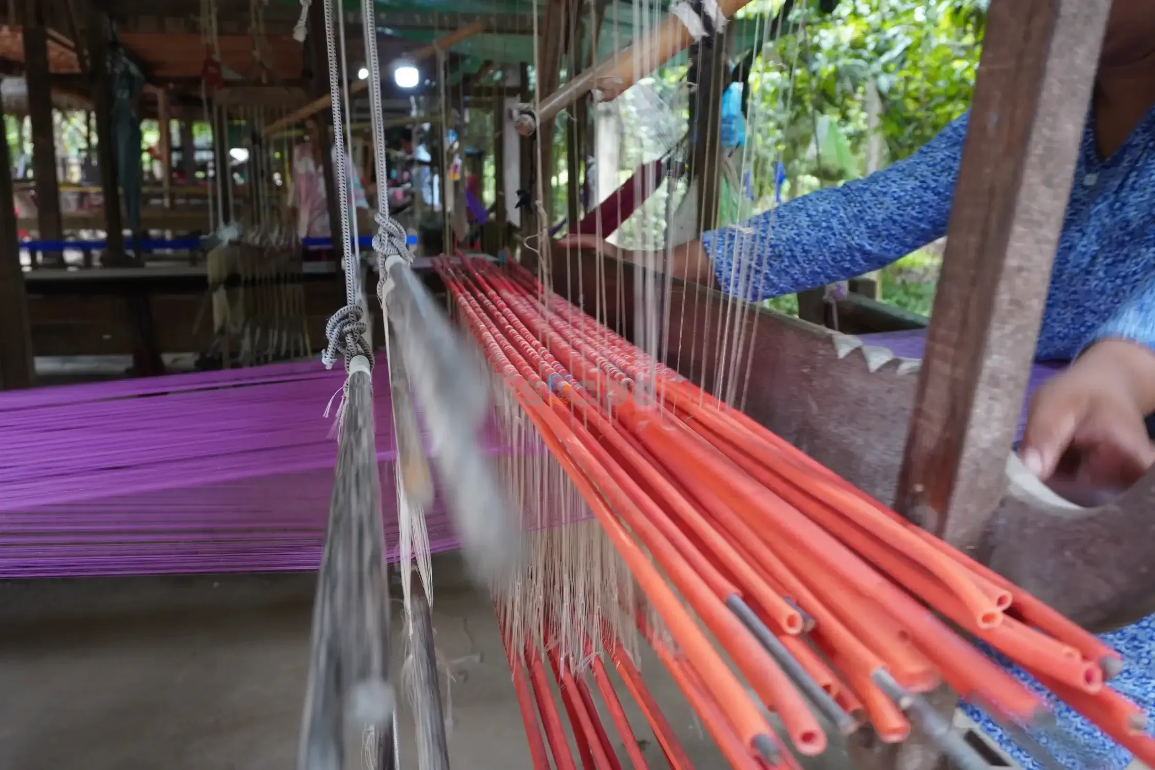 Silk Island Community | EscapeFromCity